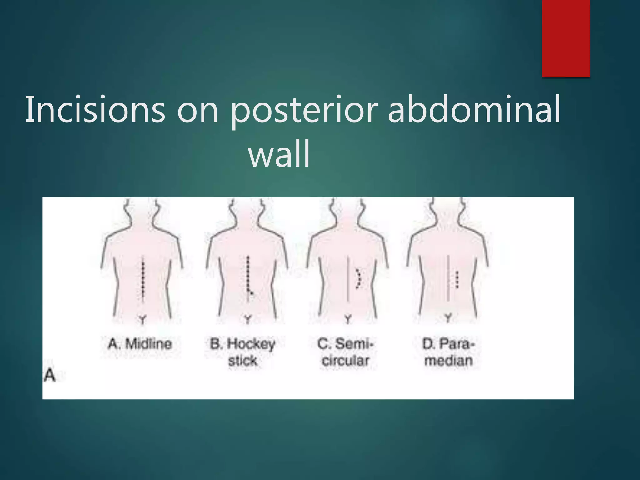 Skin incisions final | PPTX