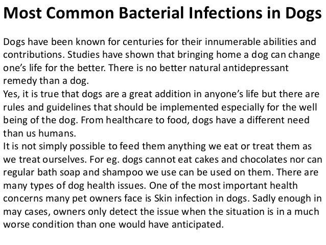 Skin Infection In Dogs – An Important Yet Neglected Condition | PPTX