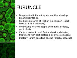 Skin Infection lect unud.ppt