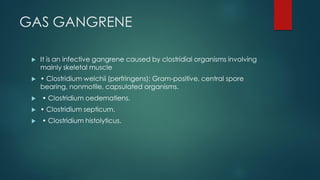 Skin infections (3).pdf