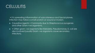 Skin infections (3).pdf