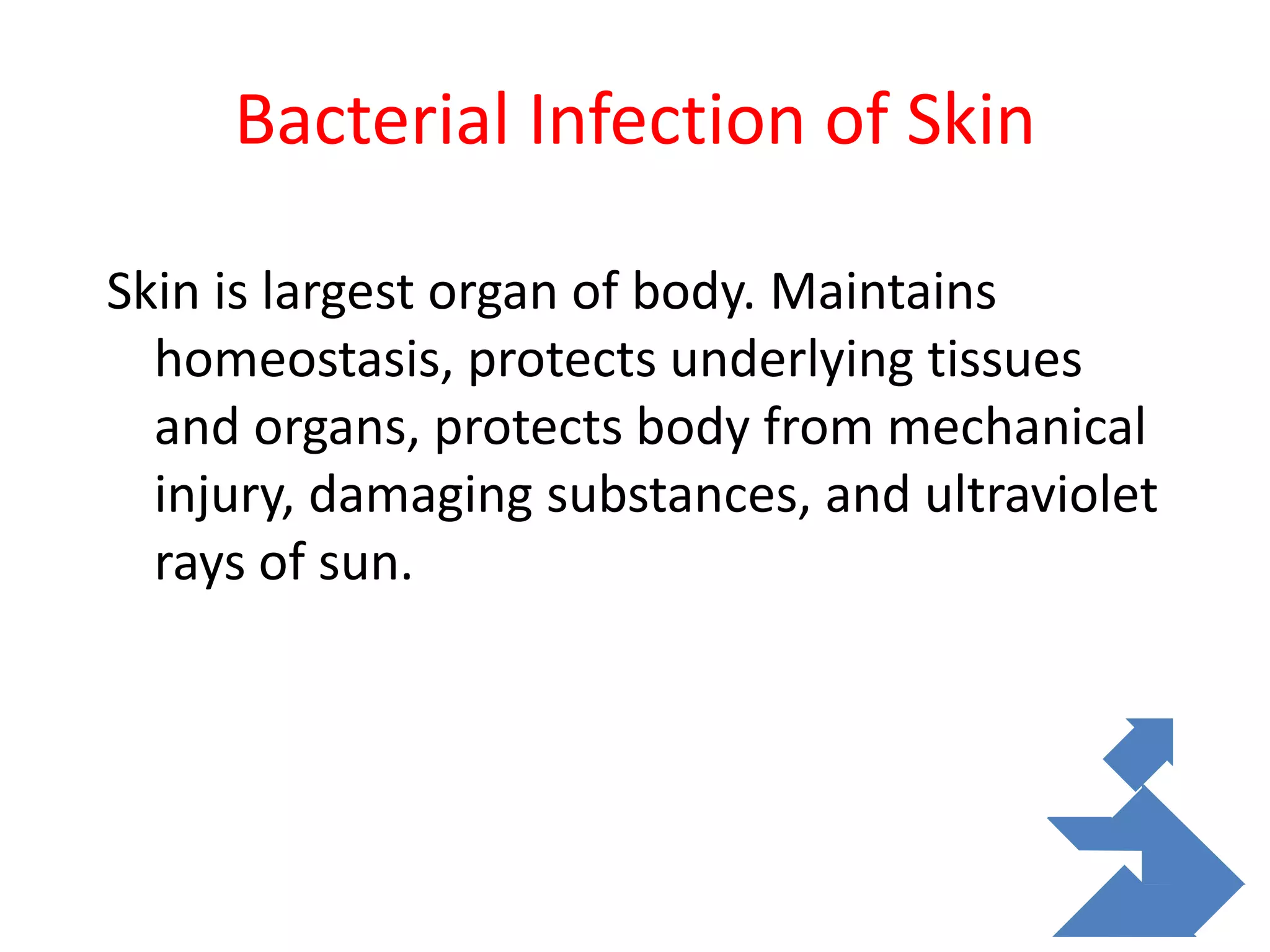 skin infections bacterial.pptx