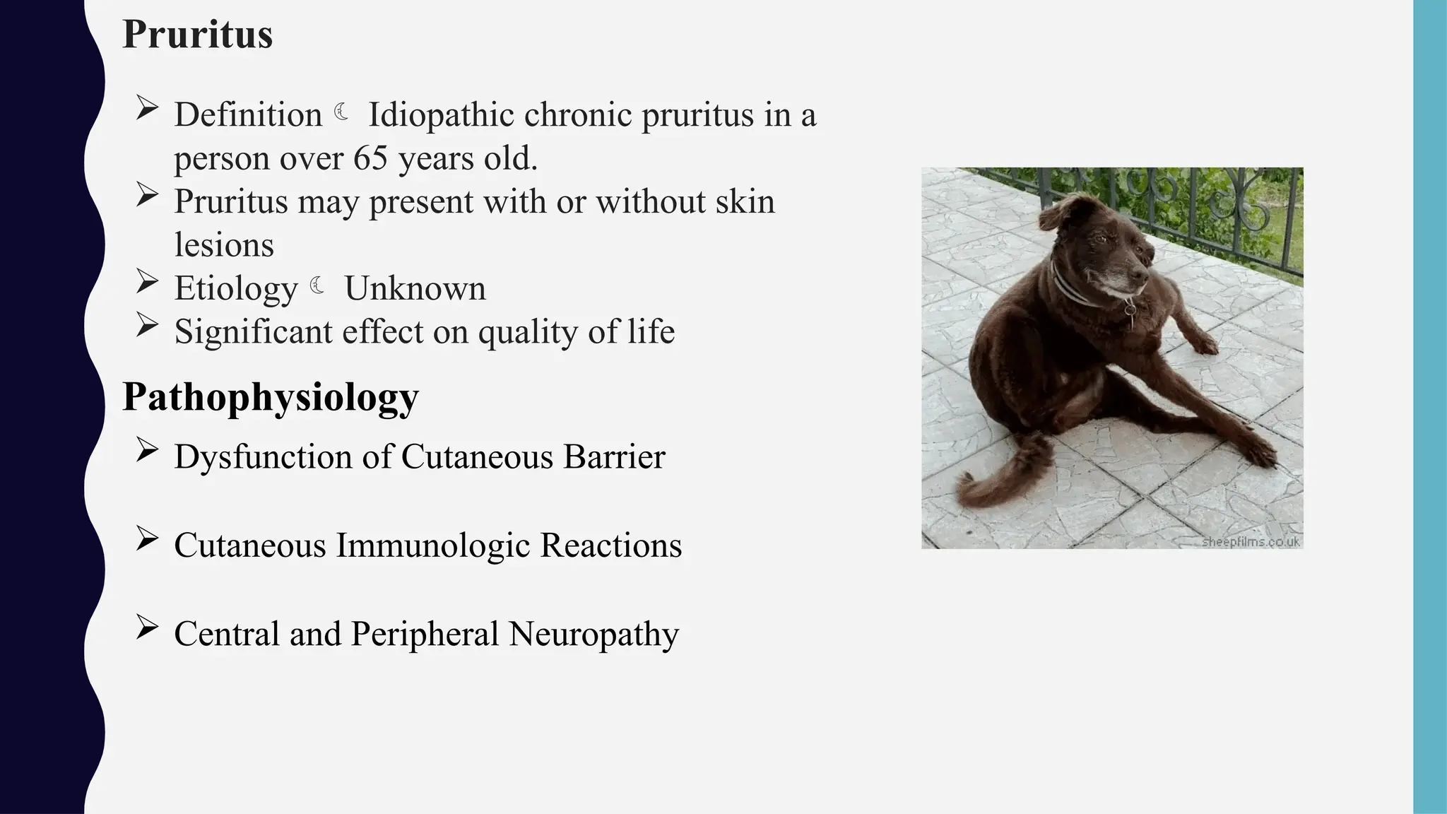 Skin in Old Age, Pathophysiology, Intrinsic and Extrinsic factors ...