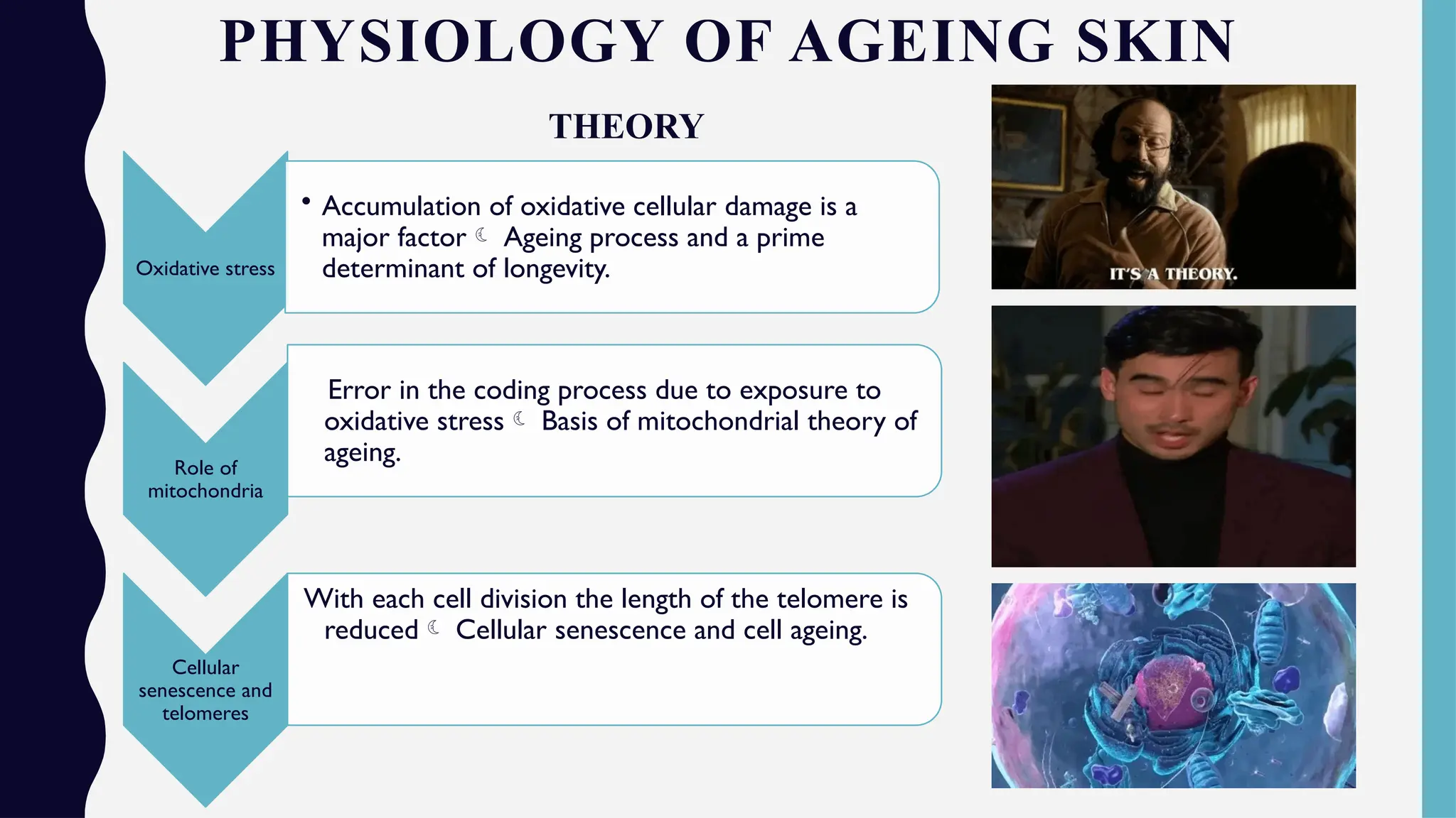 Skin in Old Age, Pathophysiology, Intrinsic and Extrinsic factors ...