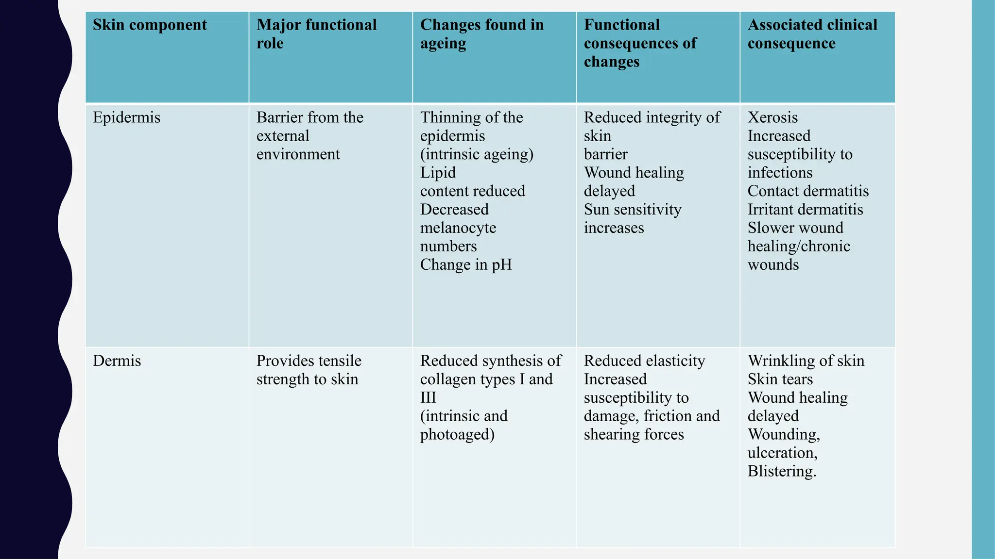 Skin in Old Age, Pathophysiology, Intrinsic and Extrinsic factors ...