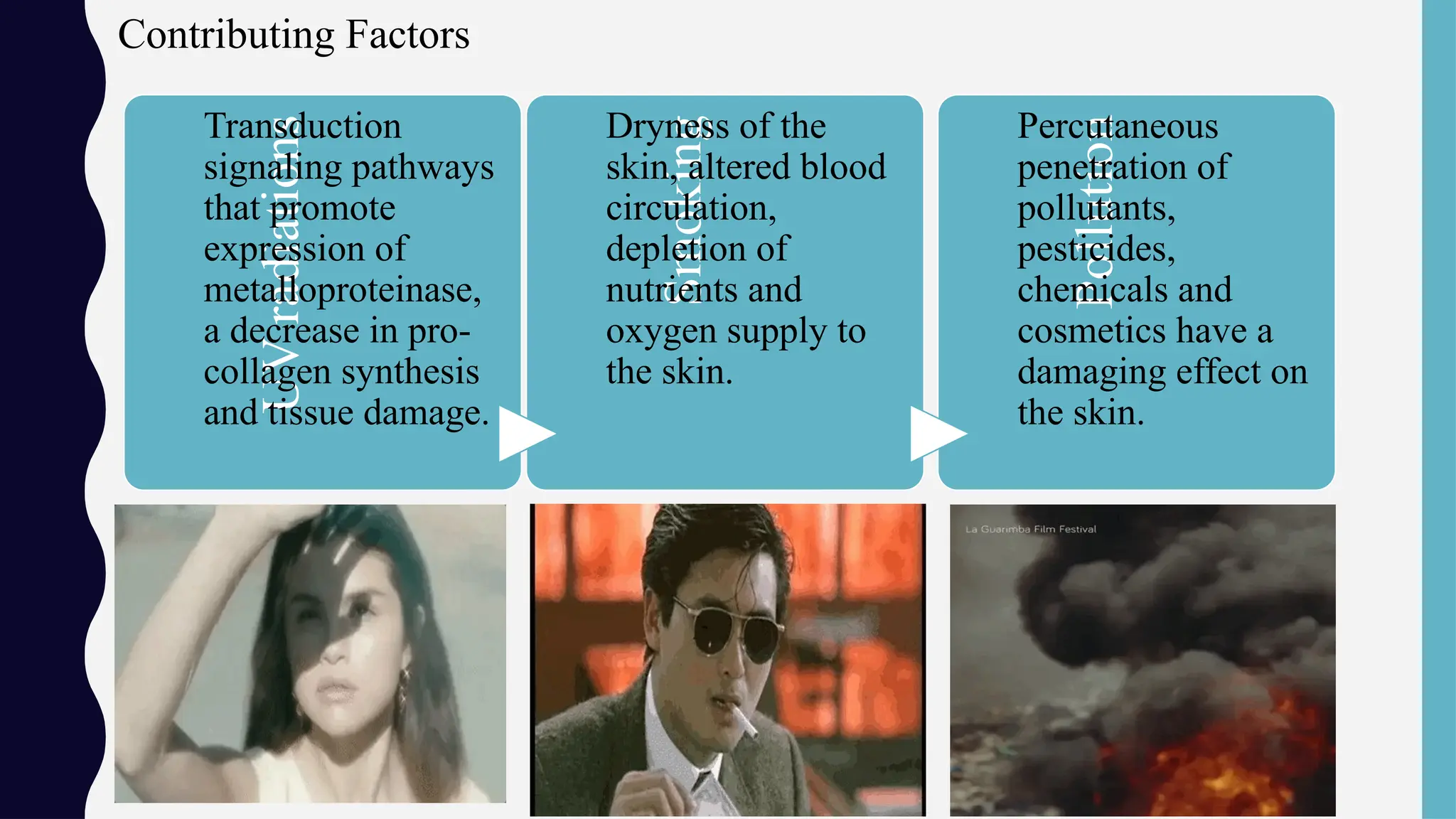 Skin in Old Age, Pathophysiology, Intrinsic and Extrinsic factors ...