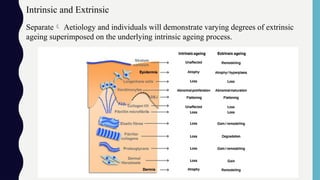 Skin in Old Age, Pathophysiology, Intrinsic and Extrinsic factors ...