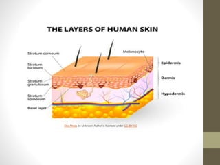 Skin integrity pressure injuries (1).pptx
