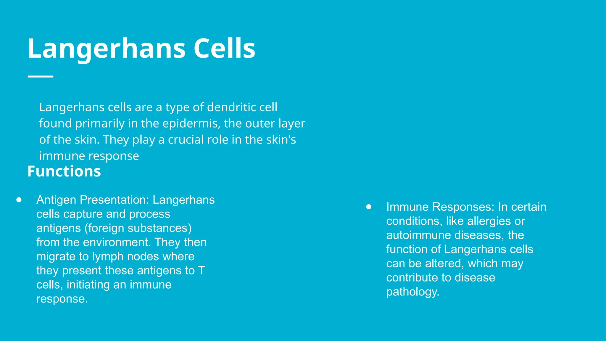 Skin Integumentary system anatomy and physiology.pptx