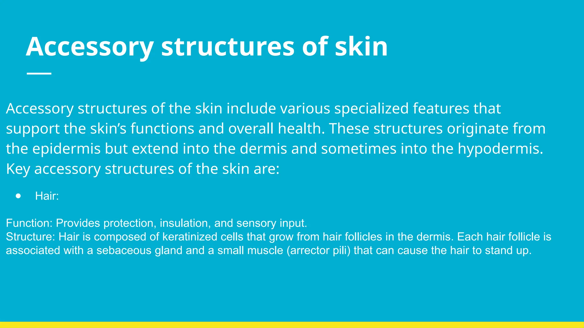 Skin Integumentary system anatomy and physiology.pptx