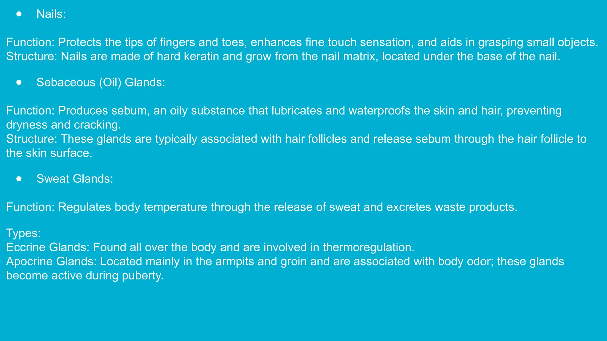 Skin Integumentary system anatomy and physiology.pptx