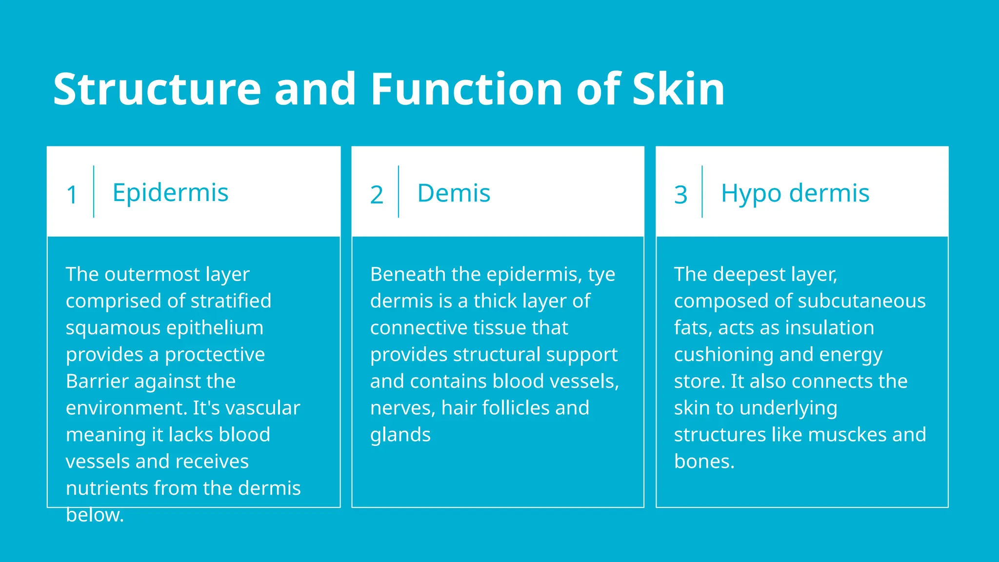 Skin Integumentary system anatomy and physiology.pptx