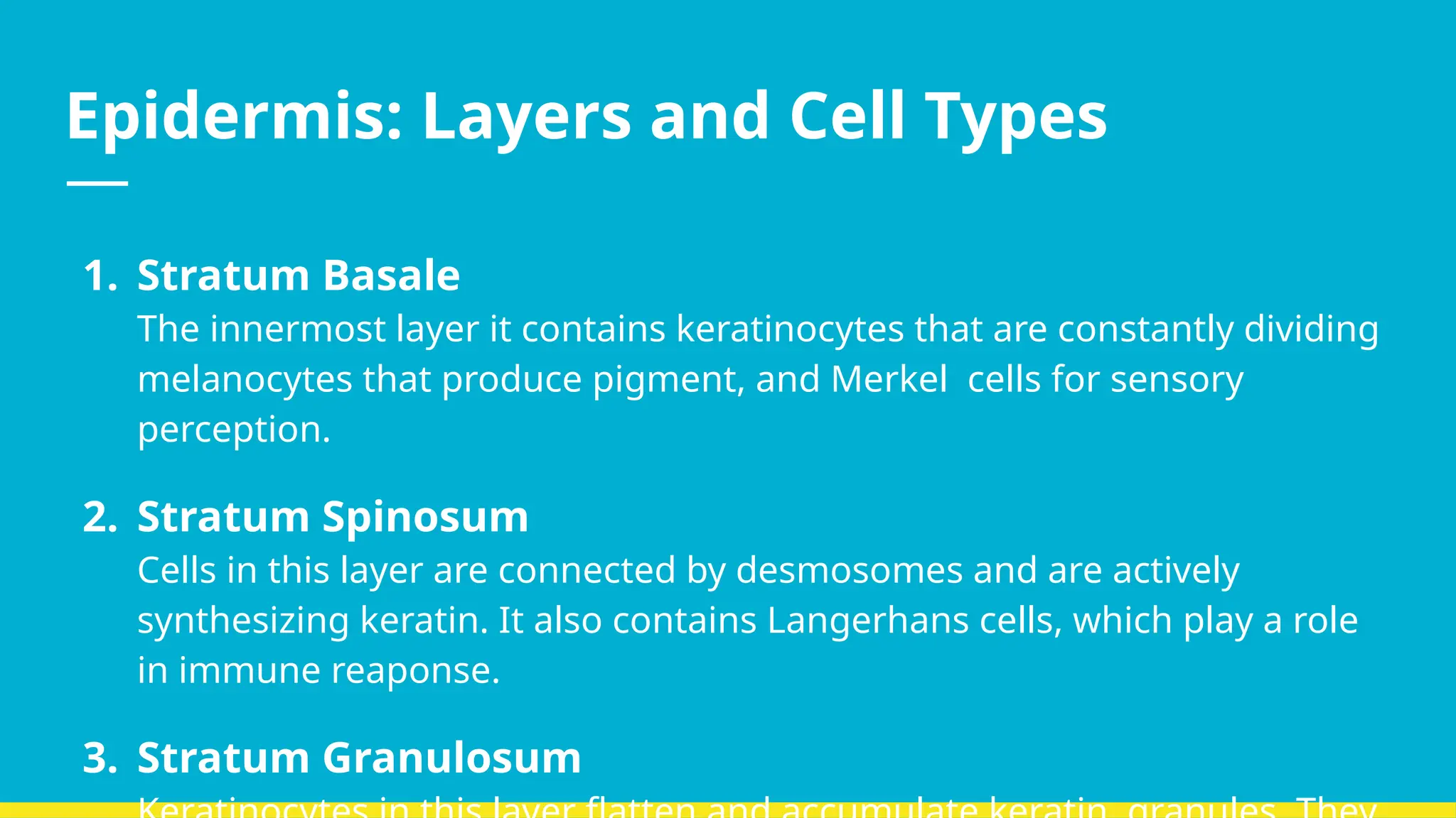 Skin Integumentary system anatomy and physiology.pptx