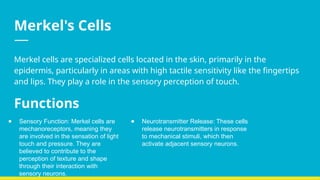 Skin Integumentary system anatomy and physiology.pptx