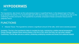 Skin Integumentary system anatomy and physiology.pptx