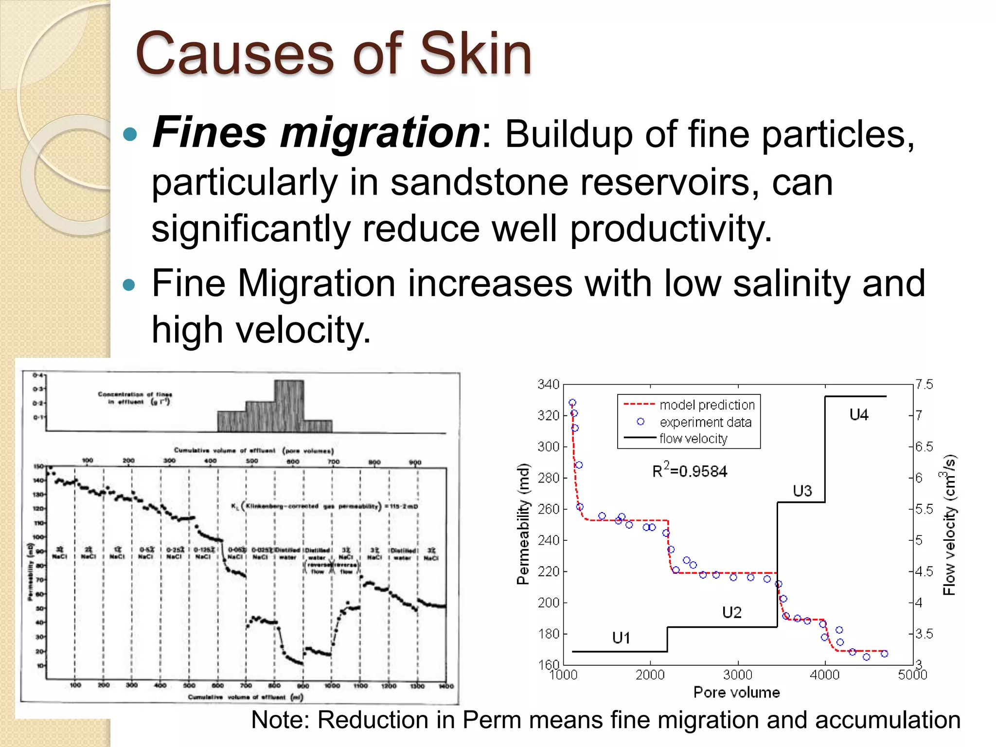 Skin Factor and Formation Damage | PPTX