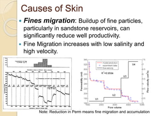 Skin Factor and Formation Damage | PPTX