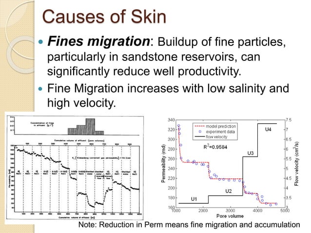 Skin Factor and Formation Damage | PPTX