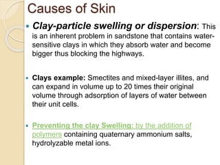 Skin Factor and Formation Damage | PPTX