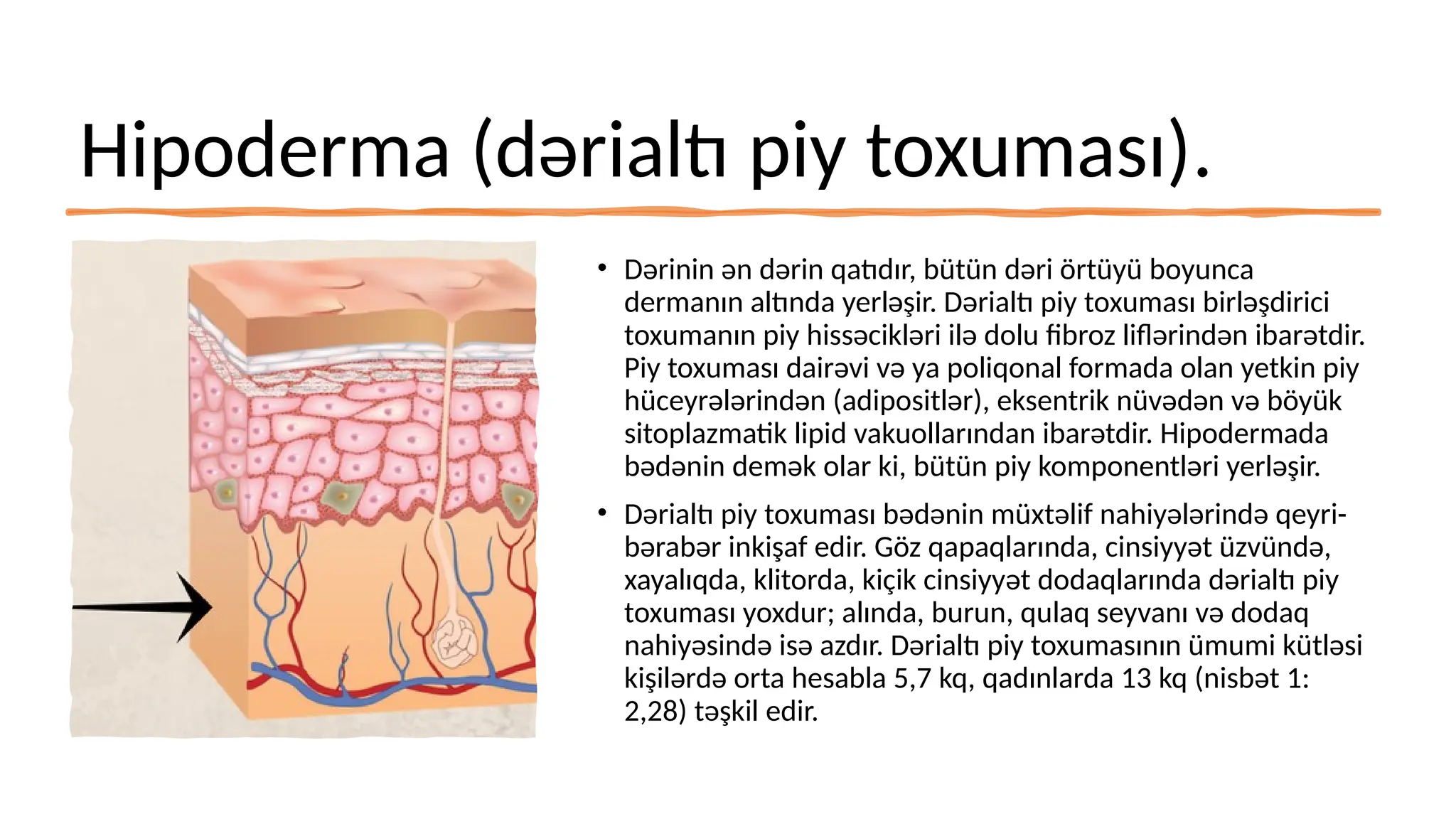 skin layers and complexion dermatology.pptx