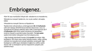 skin layers and complexion dermatology.pptx