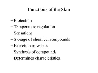 Skin_lecture.ppt . | PPT
