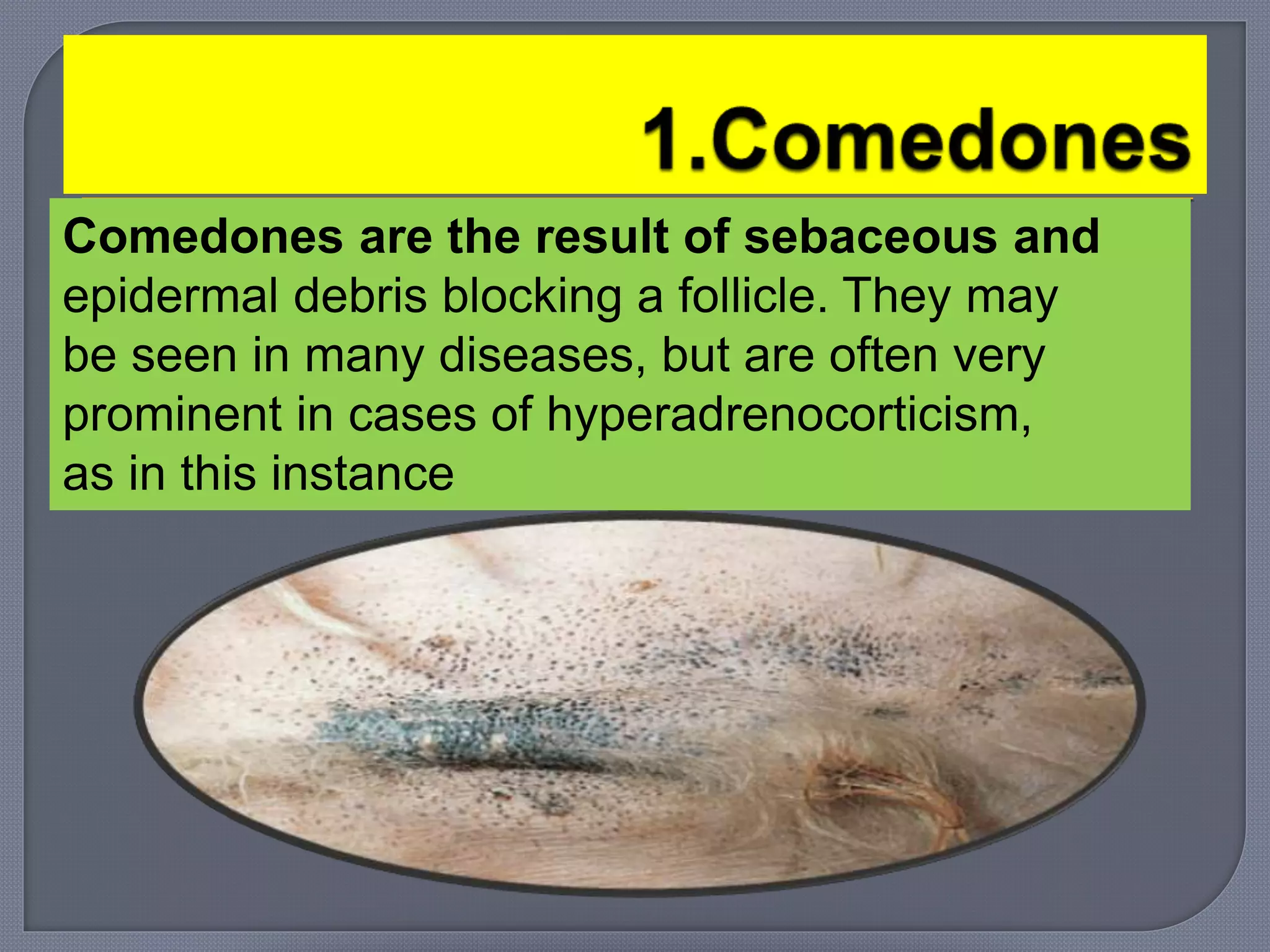 Canine Skin lesion | PPTX