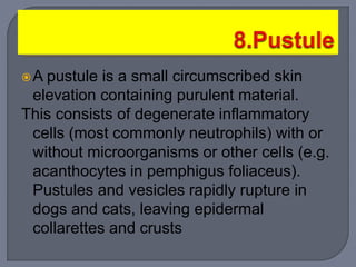 Canine Skin lesion | PPTX