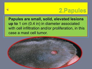 Canine Skin lesion | PPTX