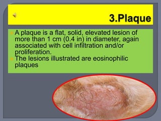 Canine Skin lesion | PPTX