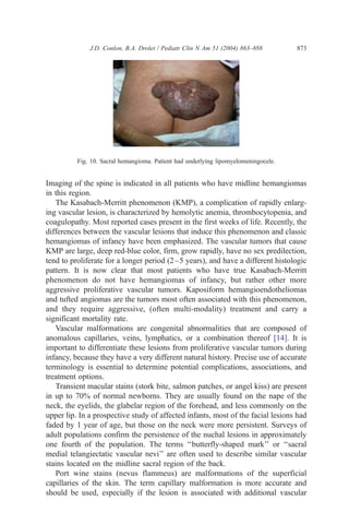 Skin lesion in neonate | PDF