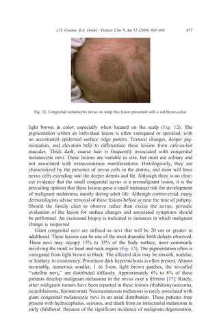 Skin lesion in neonate | PDF