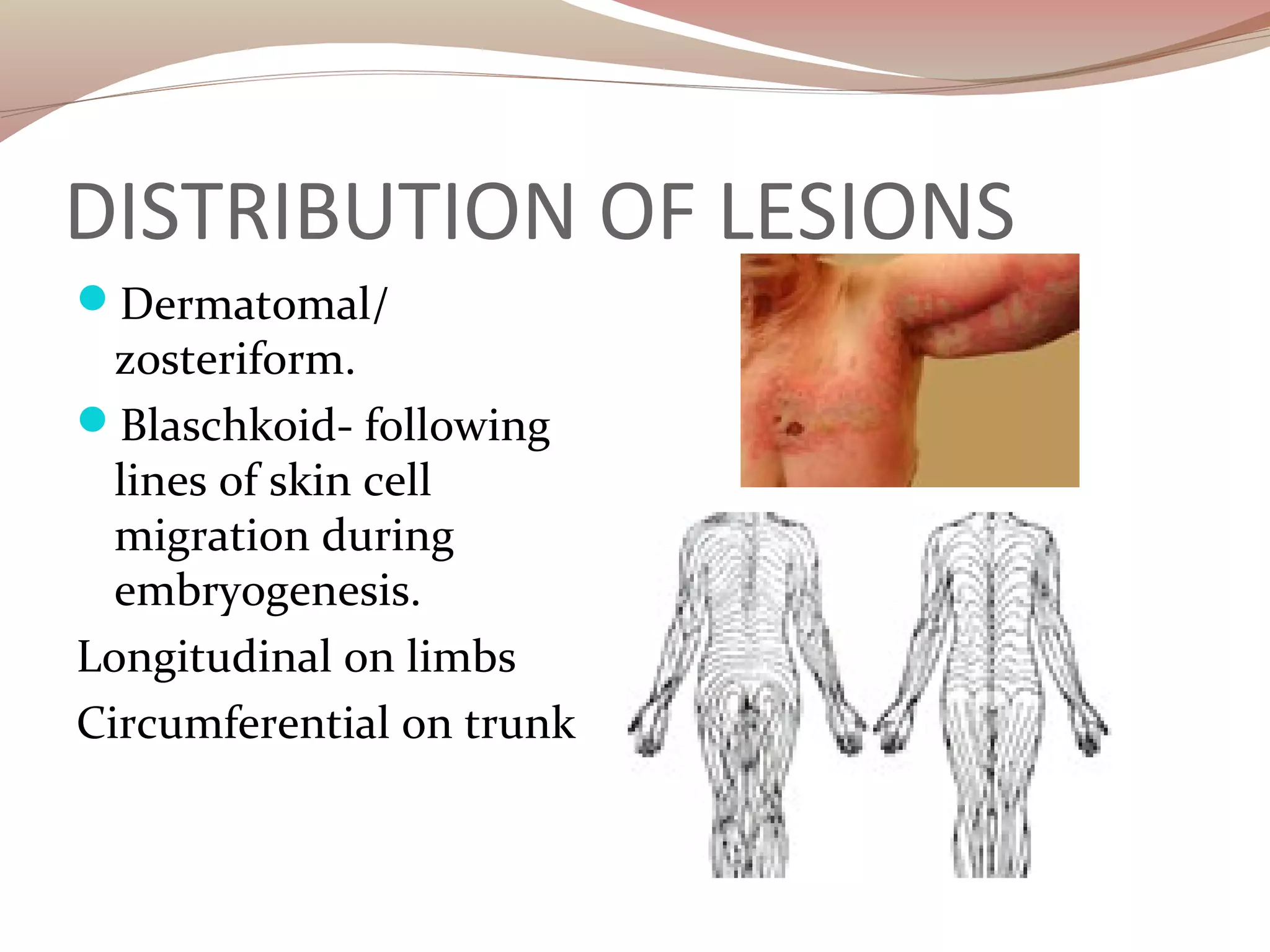 Skin lesions | PPT