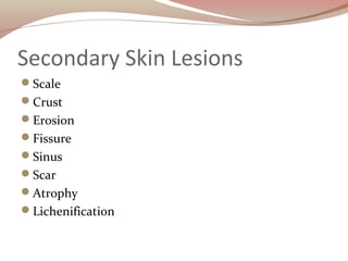Skin lesions | PPT