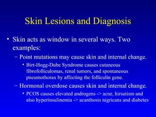 Skin lesions and diagnosis | PPT