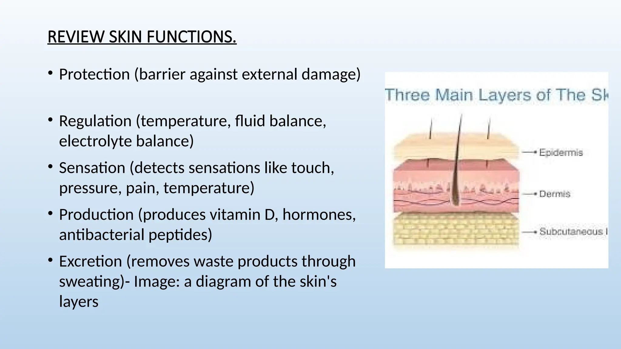 skin management sep 2024.pptxxxxxxxxxxxx | PPTX