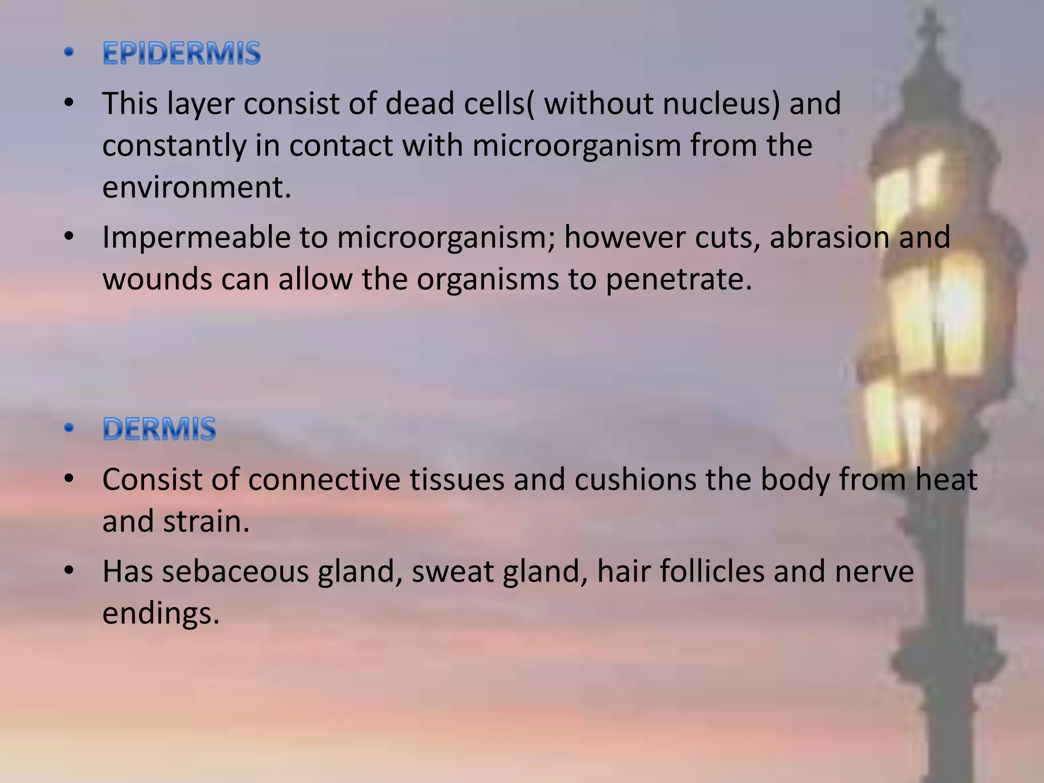 Skin microflora / Normal Flora of Skin | PPTX