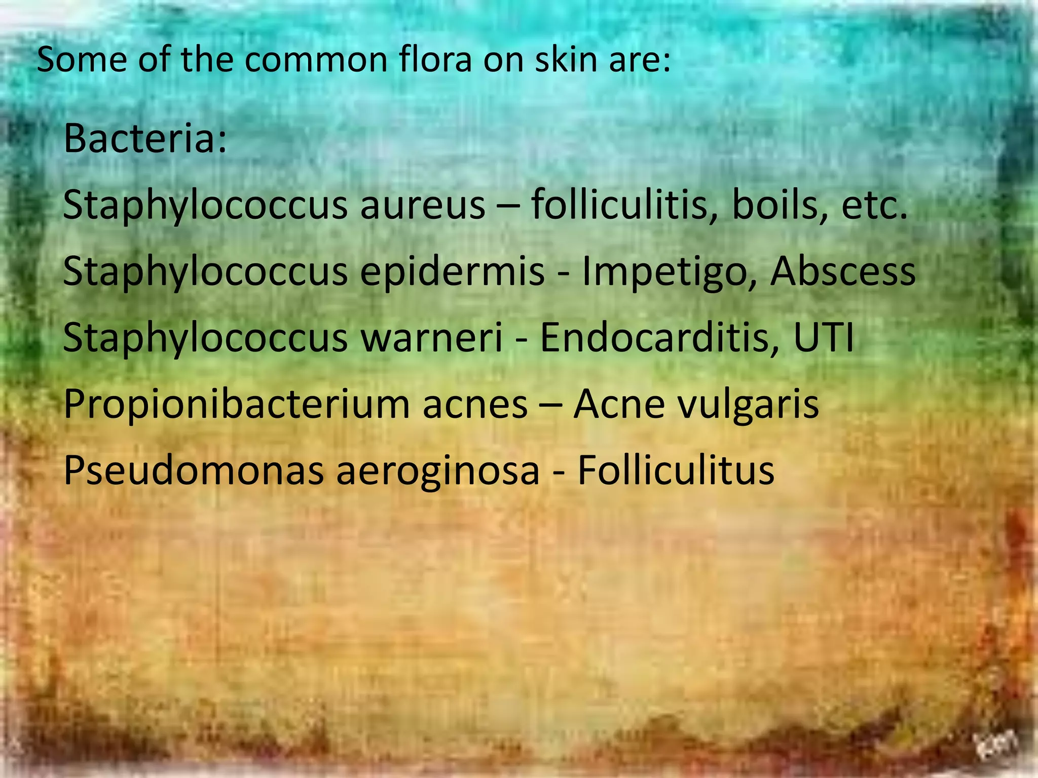 Skin microflora / Normal Flora of Skin | PPTX