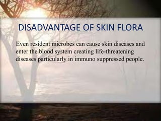 Skin microflora / Normal Flora of Skin | PPTX