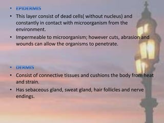 Skin microflora / Normal Flora of Skin | PPTX