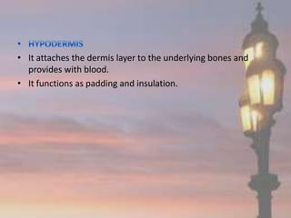 Skin microflora / Normal Flora of Skin | PPTX