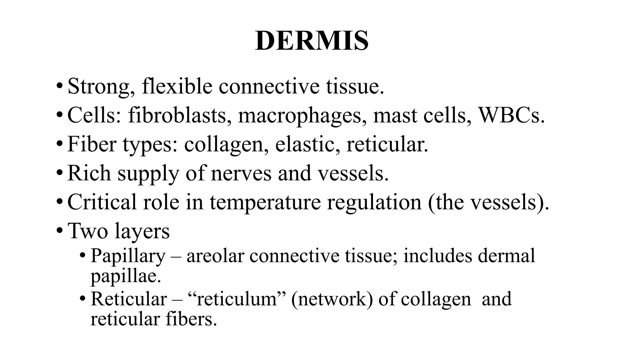 The histology of the skin and its appendages | PPTX