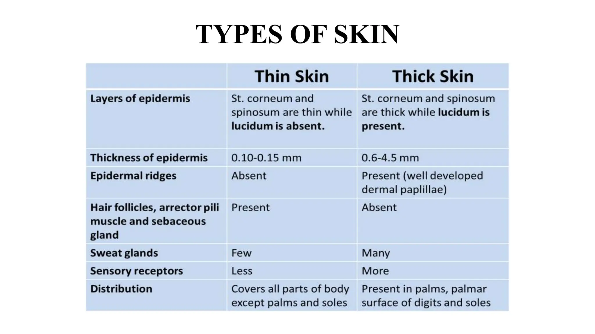 The microscopic features of the skin and its appendages | PPTX