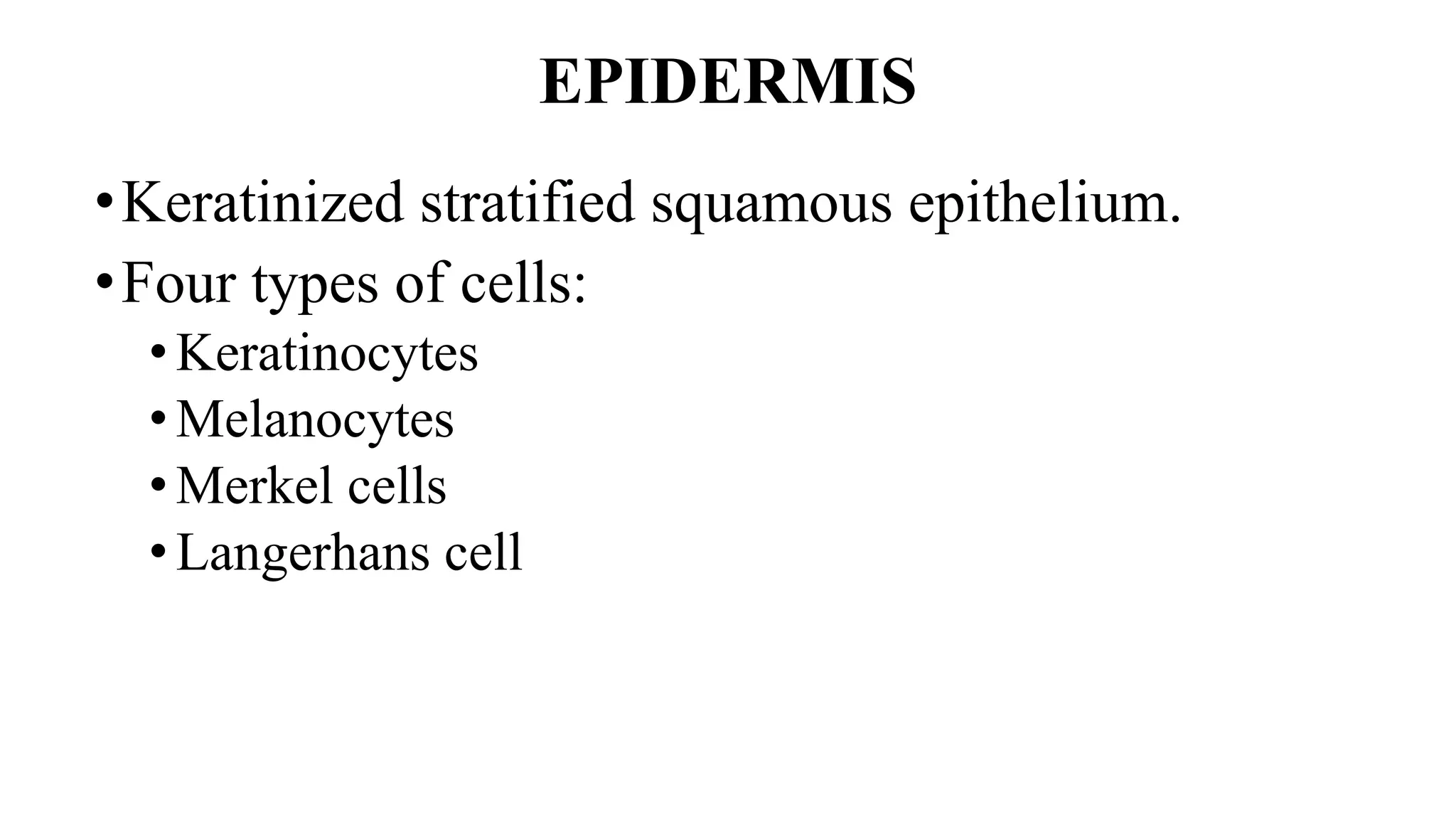 The microscopic features of the skin and its appendages | PPTX