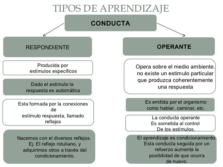 Skinner condicionamiento operante