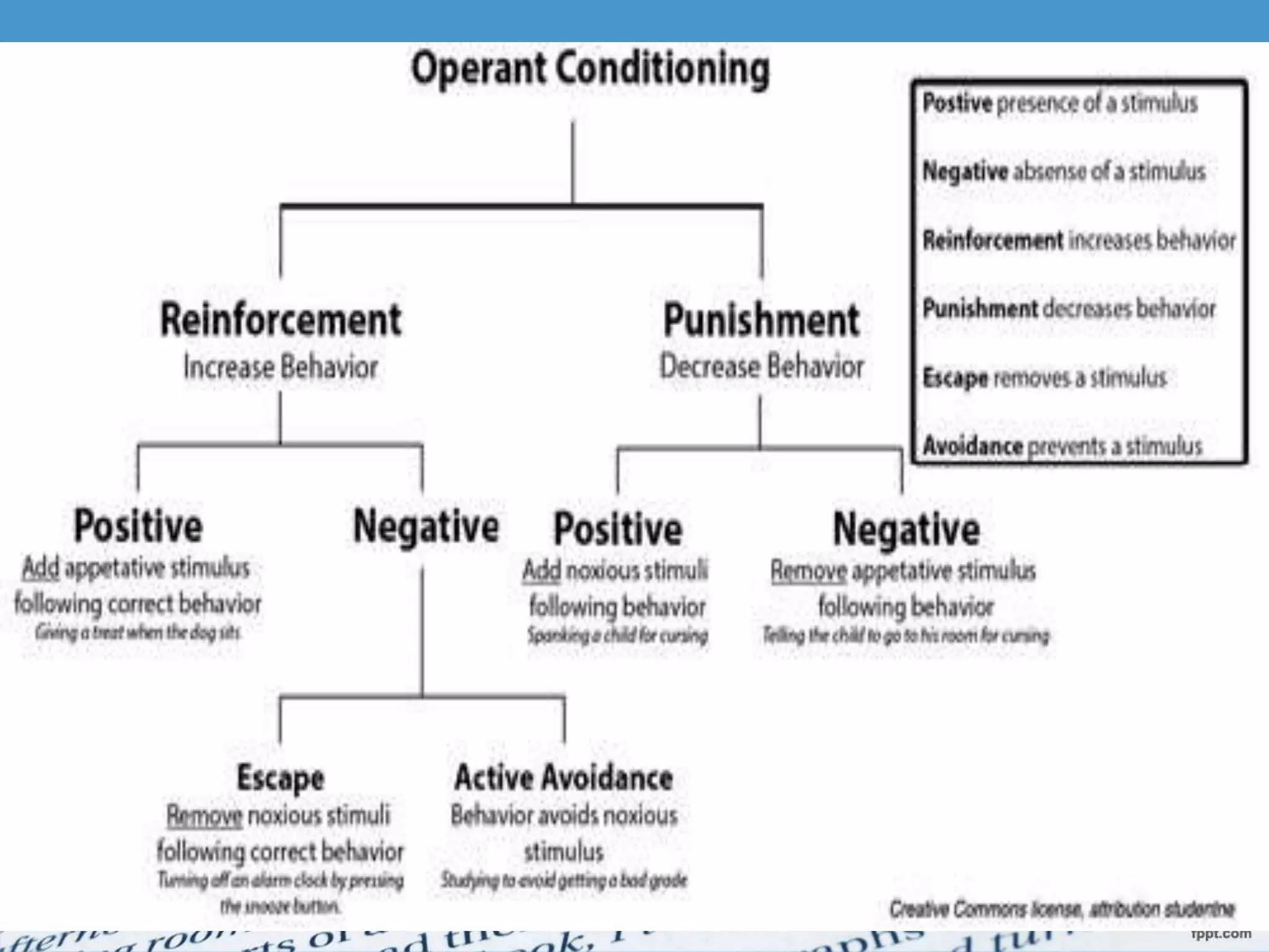 Skinner learning theory | PPTX