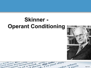 Skinner learning theory | PPTX