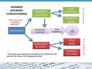 Skinner learning theory | PPTX