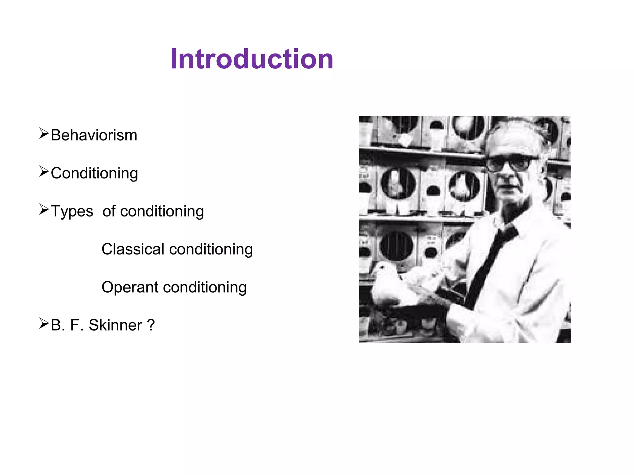Skinner operant conditioning | PPT