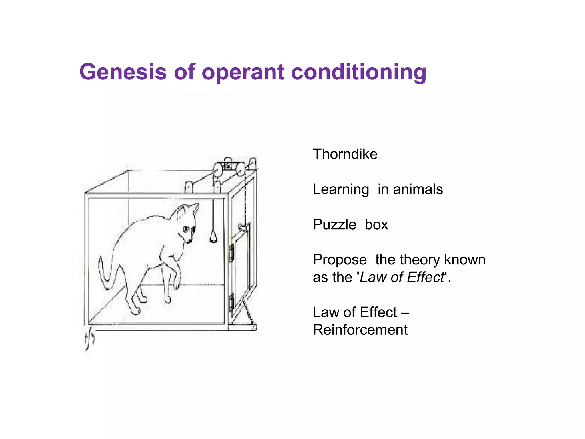 Skinner operant conditioning | PPT